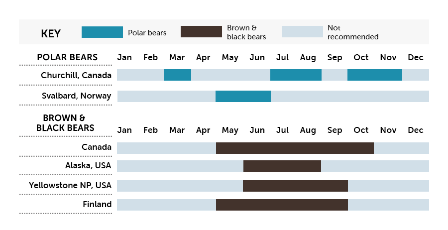Best time for bear watching