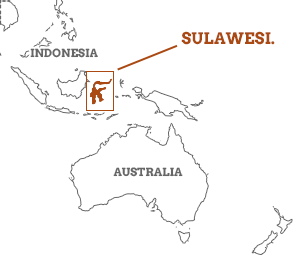 Sulawesi travel guide