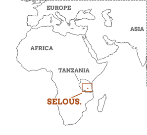 Nyerere National Park travel guide (Selous)