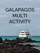 Best time to visit the Galapagos Islands