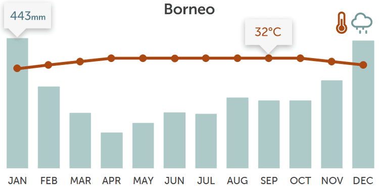 Borneo vacations. Vacations & vacations in Borneo in 2021 & 2022