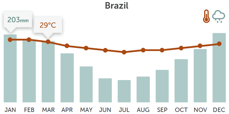 Brazil vacations. Tours & vacations in Brazil in 2021 & 2022
