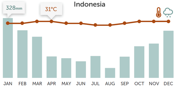 Indonesia vacations in 2021 & 2022 | Responsible Travel