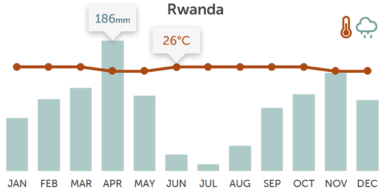 Rwanda vacations & gorilla safaris in 2021 & 2022 | Responsible Travel