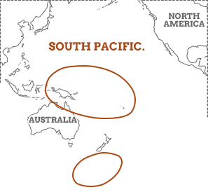 South Pacific cruising guide