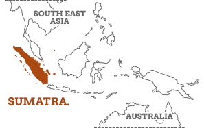 Sumatra travel guide