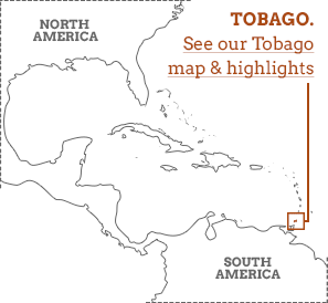 Tobago travel guide