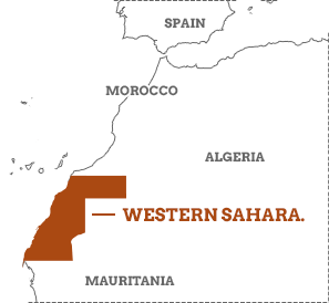 Western Sahara travel guide