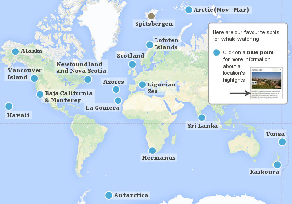 Where to go whale watching. Travel guide on where to go whale watching