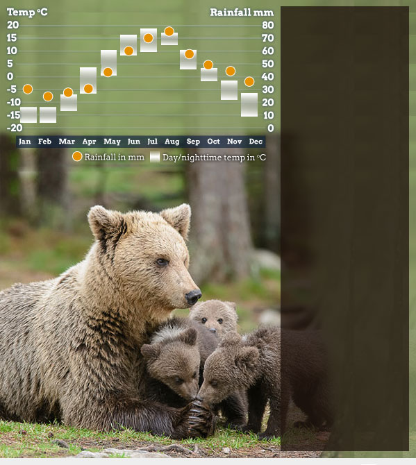 Best time to visit Wild Taiga in Finland