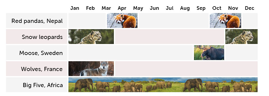 Tracking wildlife on foot travel guide