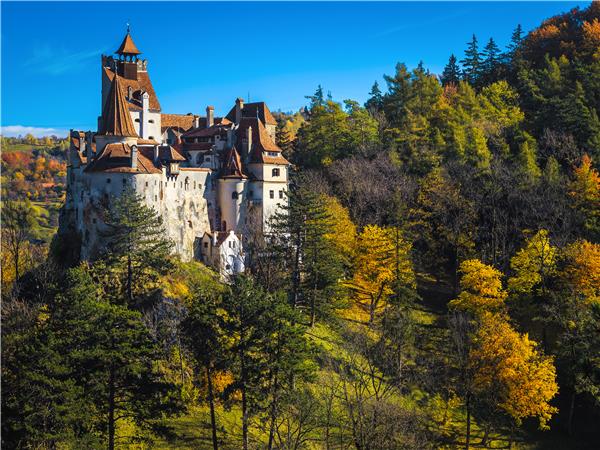 Carpathian mountains store