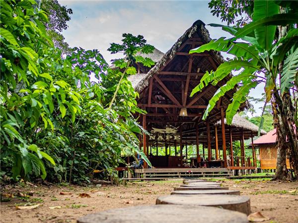 Amazon rainforest vacations & tours in 2025 & 2026 | Responsible Travel