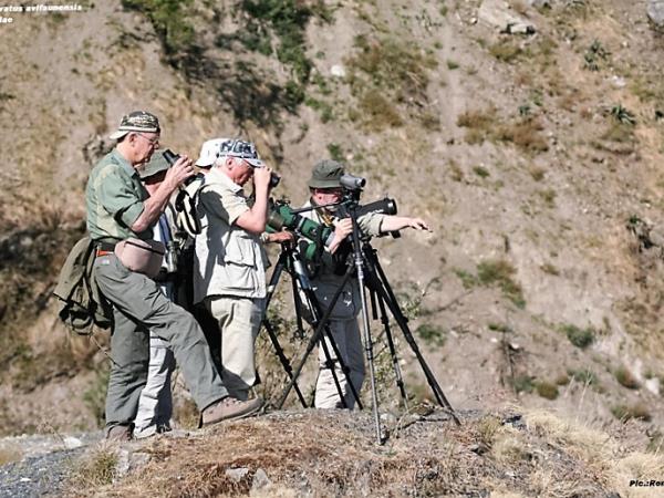 Bird watching vacations & bird watching tours - Responsible Travel
