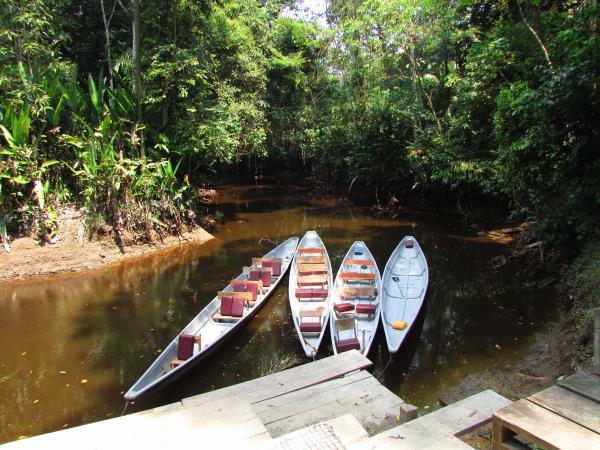 Amazon rainforest vacations. Tours & vacations in Amazon rainforest in ...