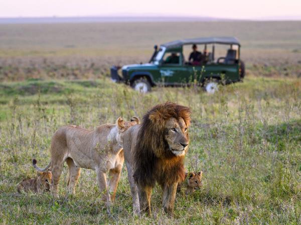 Masai Mara vacations. Safaris & vacations in Masai Mara
