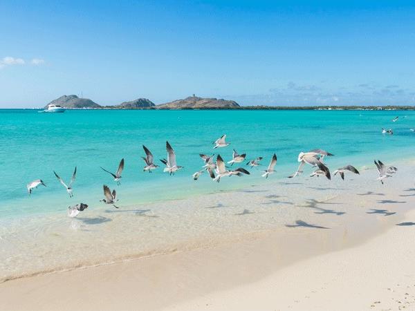 Venezuela vacations & tours in 2026 & 2027 | Responsible Travel