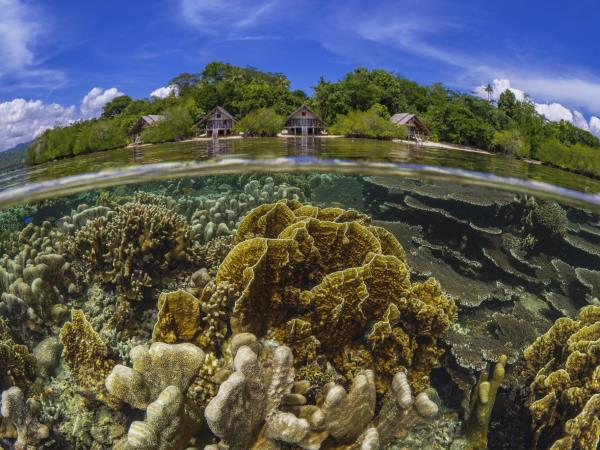 Halmahera snorkeling vacation in Indonesia | Responsible Travel