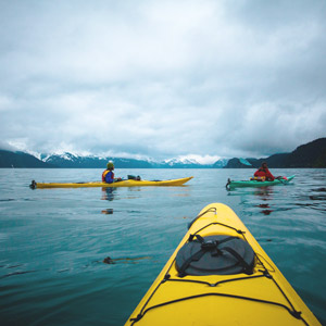 Best time to see wildlife in Alaska