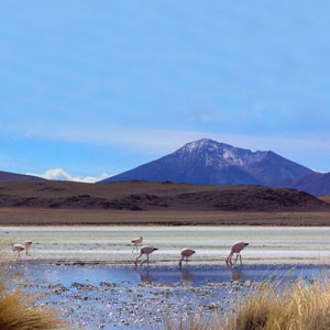 Things to see & do in Bolivia & Peru