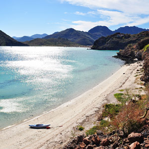 Grey whale watching in Baja