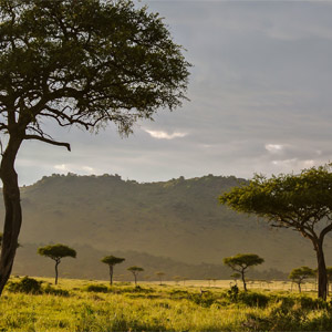 Best time to visit the Masai Mara