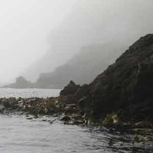Best time to visit the Subantarctic Islands
