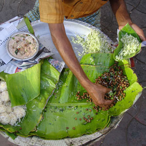 Vegan vacations in India