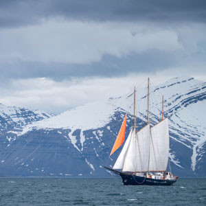 Tall ship sailing guide