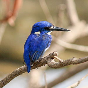 Best time to go to the Northern Territory