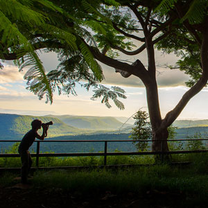 Wildlife conservation project activities