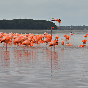 Best time to visit the Yucatan