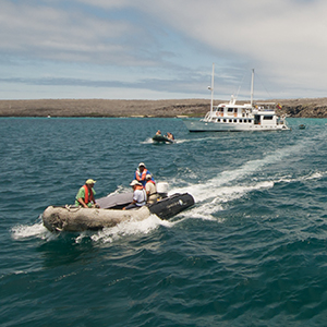 Best time to visit the Galapagos Islands