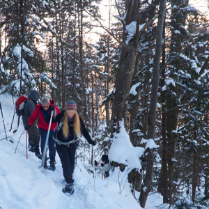 Best time to visit Transylvania