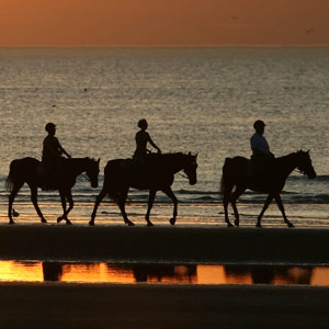 Our top 10 horse riding vacations