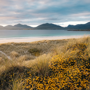 Small ship cruising in Scotland guide