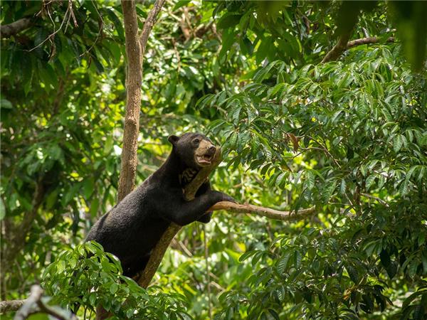 Sabah vacation, land beneath the wind | Responsible Travel