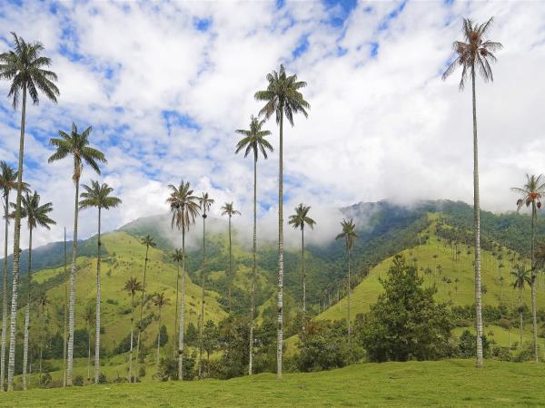 Classic Colombia country tour | Responsible Travel