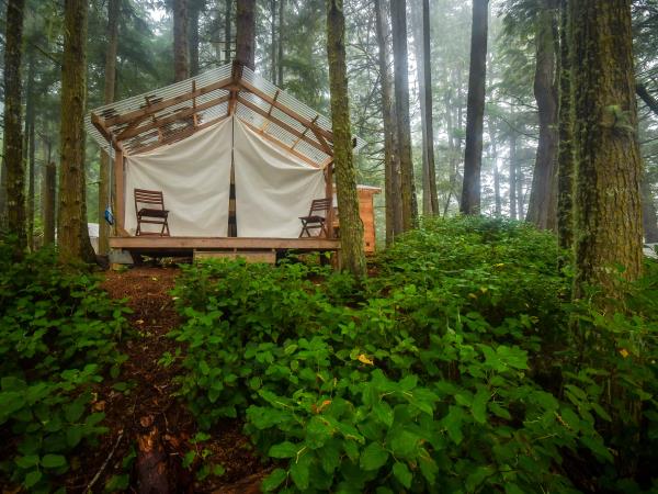 Swanson Island kayaking & glamping tour | Responsible Travel