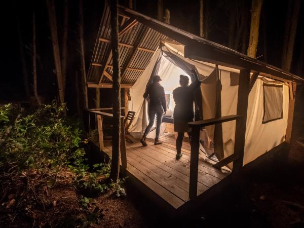Swanson Island kayaking & glamping tour | Responsible Travel