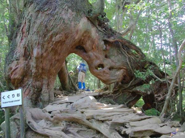 Ryukyu Islands tour, off the beaten track in Japan | Responsible Travel