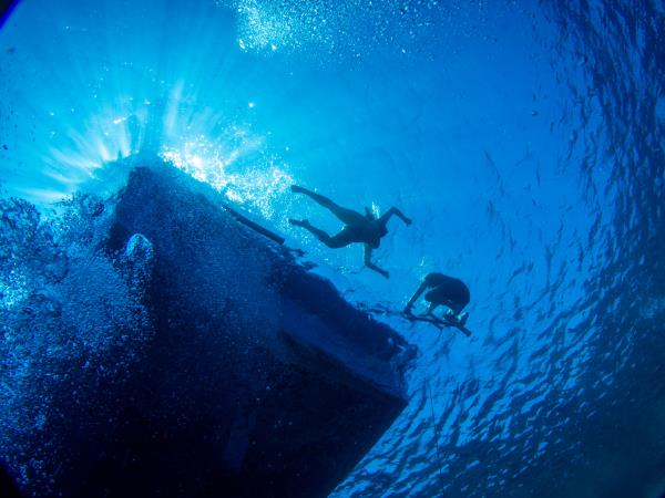 Red Sea liveaboard dive safari | Responsible Travel