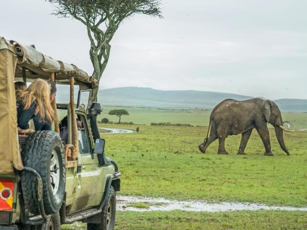 Honeymoon in the Masai Mara, Kenya | Responsible Travel