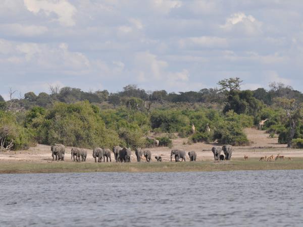 Namibia, Chobe and Victoria Falls vacation | Responsible Travel