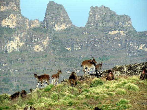 Ethiopia vacations & tours in 2024 & 2025 | Responsible Travel