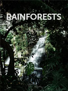 Wildlife travel guide