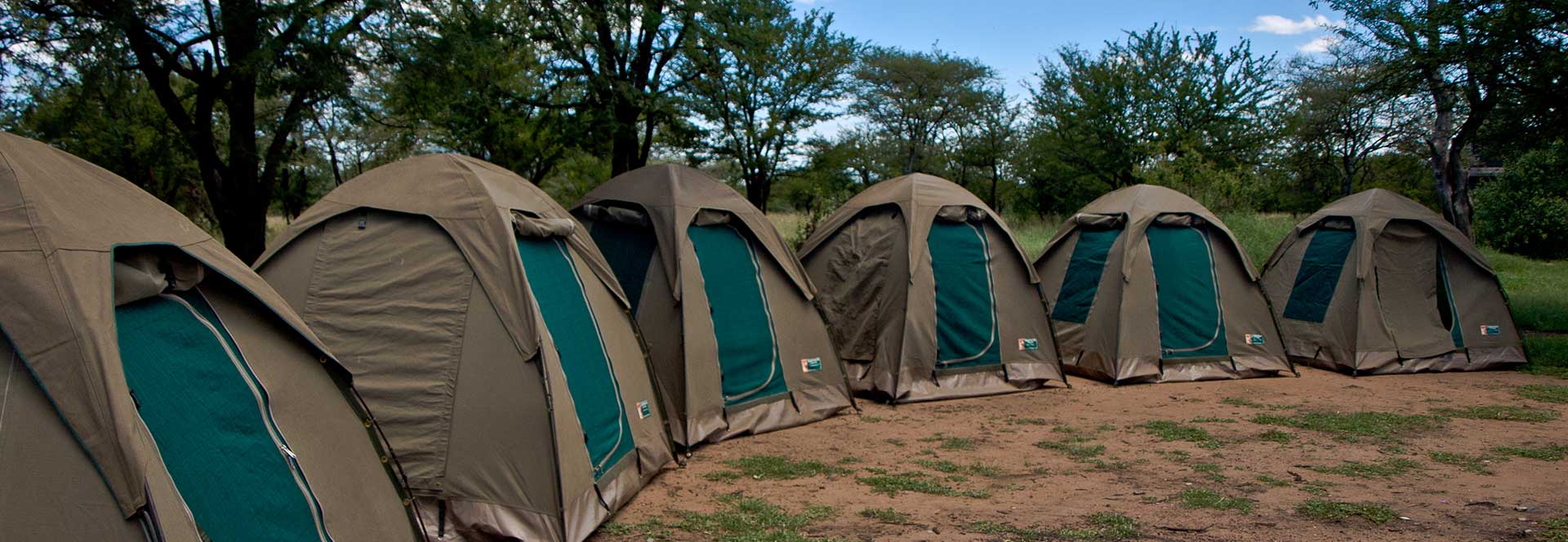 Bush camp safari vacations in 2025 & 2026 | Responsible Travel