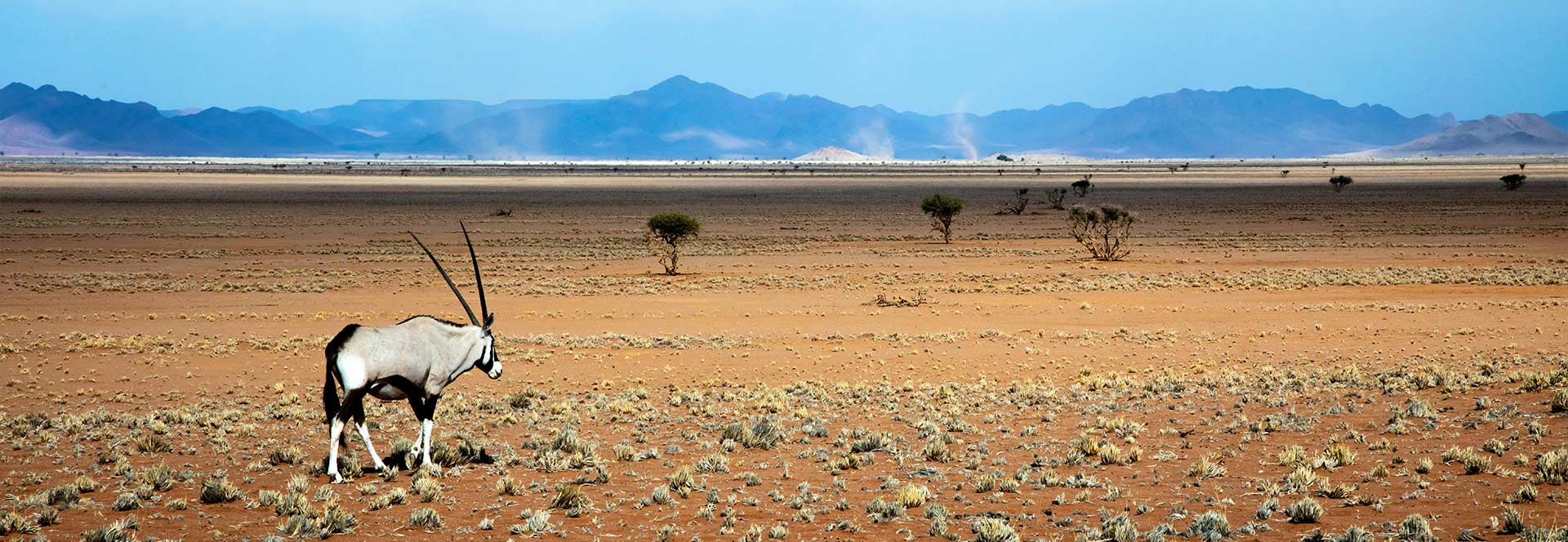 Bush camp safaris in Namibia