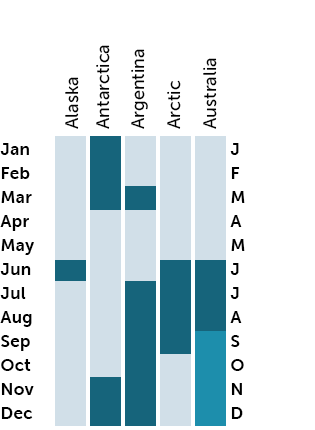 Best time to go whale watching